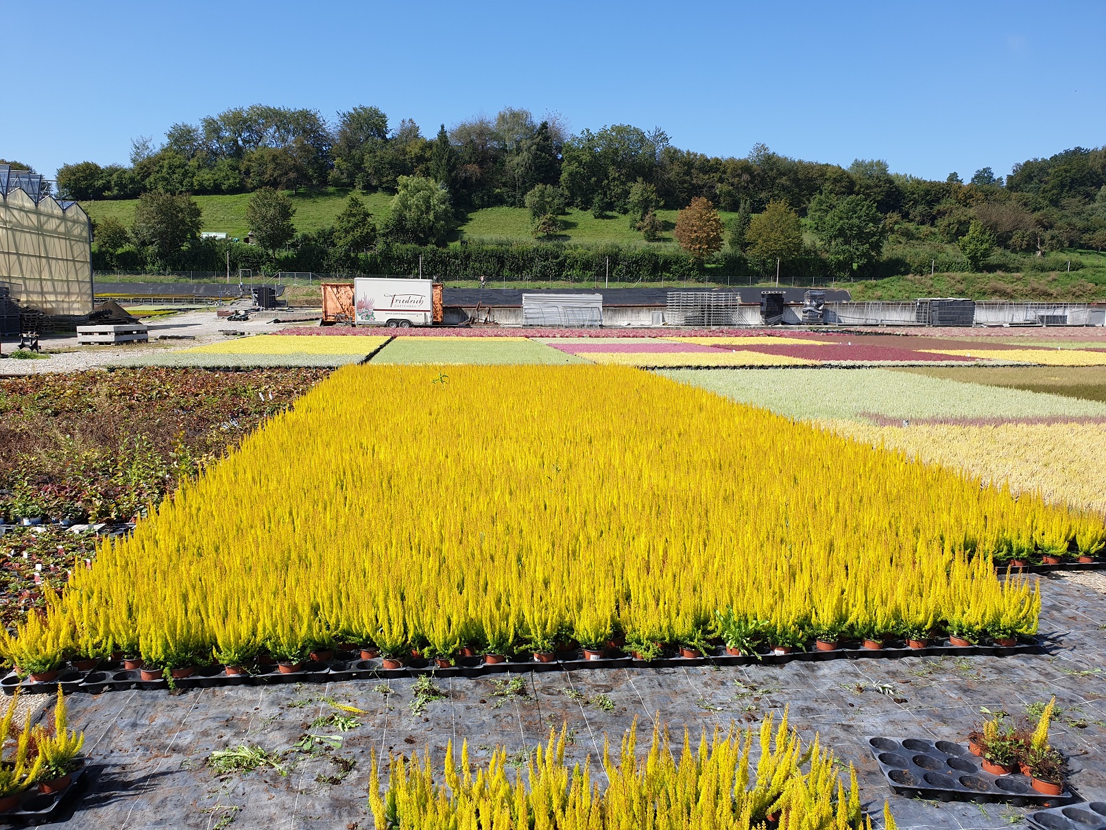 Outdoors - Brill Substrate