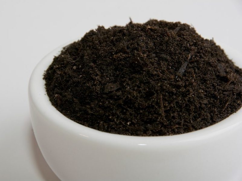 Compost - Brill Substrate