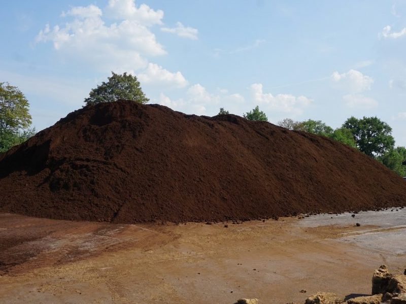 Tourbe - Brill Substrate