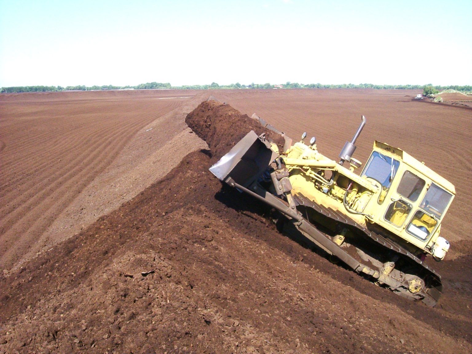 Torfe - Brill Substrate